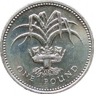 1985 One Pound | Check Your Change